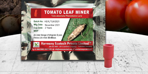 Tomato Leaf Miner - Harmony Ecotech Pvt. Ltd.